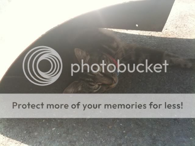 Ford Transit Forum • View topic - My Landliner